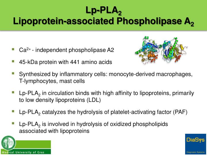 PPT - Lp-PLA 2 Lipoprotein-associated phospholipase A 2 PowerPoint ...