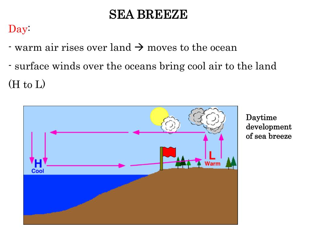 PPT - WIND AND OCEAN CIRCULATION Continent/ Ocean contrasts Land/Sea ...