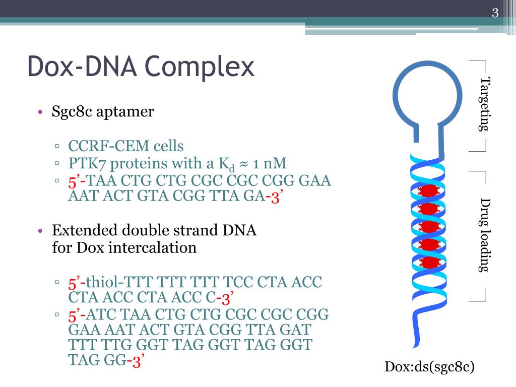PPT - DNA-Conjugated Gold Nanoparticles as Ultrasound- Responsive Drug ...