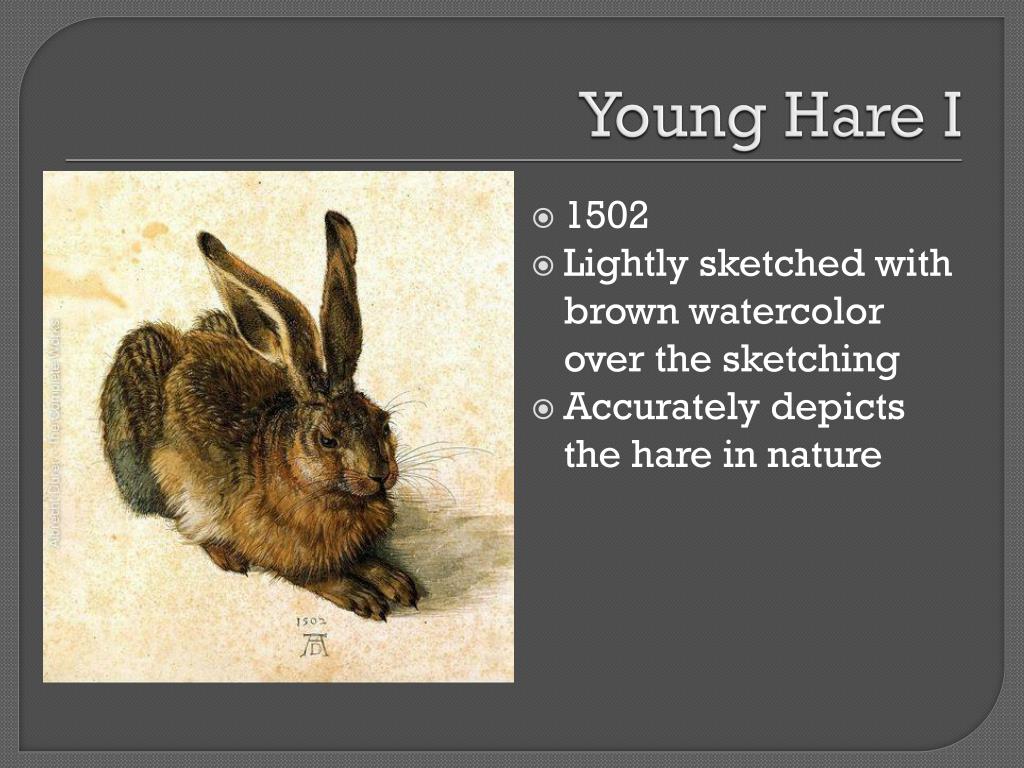 PPT - Albrecht Durer The first Northern Renaissance artist PowerPoint ...