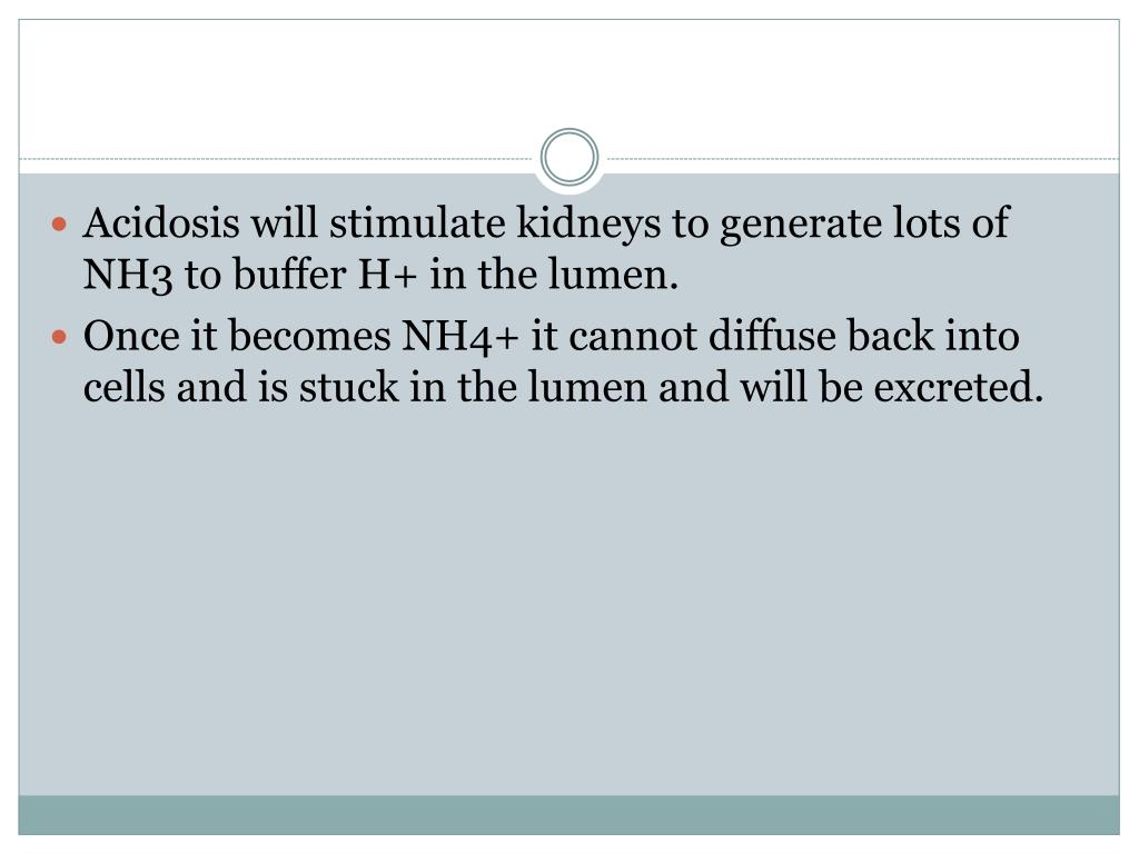 PPT - Metabolic Acidosis and Alkalosis PowerPoint Presentation, free ...