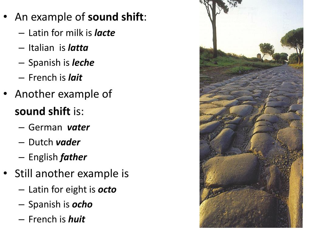 PPT - An example of sound shift : Latin for milk is lacte Italian is ...