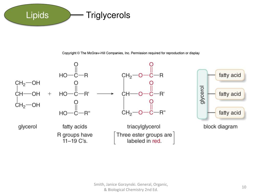 PPT - CHAPTER 19: Lipids General, Organic, & Biological Chemistry ...
