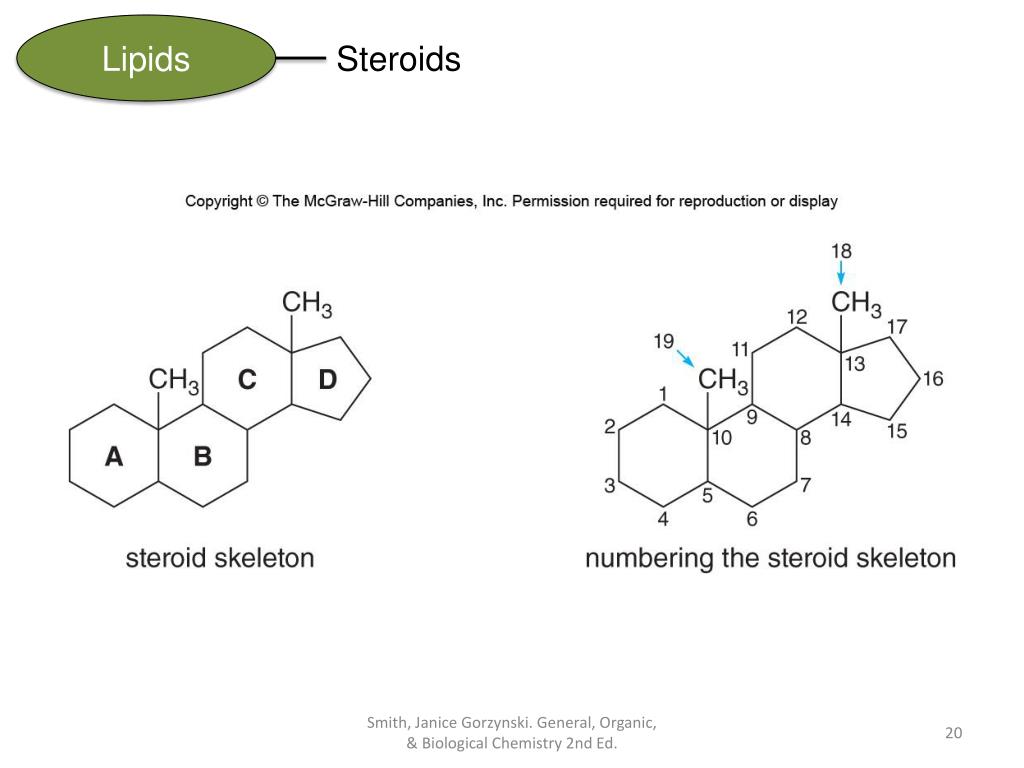 PPT - CHAPTER 19: Lipids General, Organic, & Biological Chemistry ...