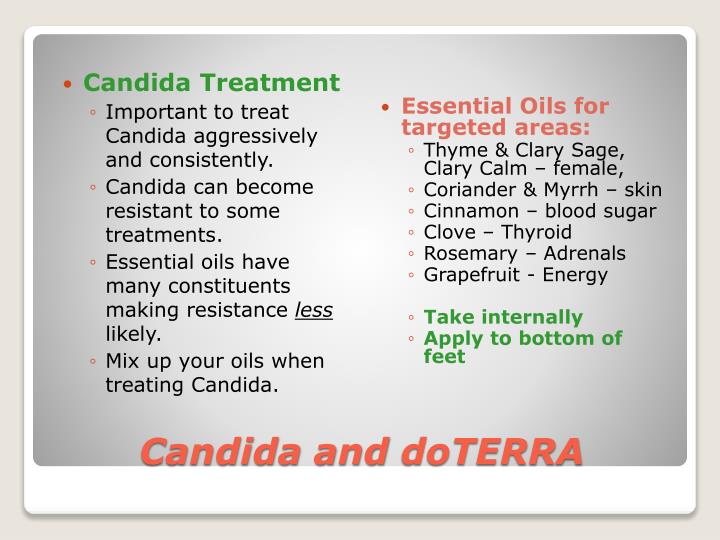 PPT - Candida Albicans PowerPoint Presentation - ID:2094677
