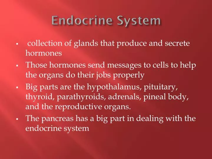 PPT - Endocrine System PowerPoint Presentation, free download - ID:2094690
