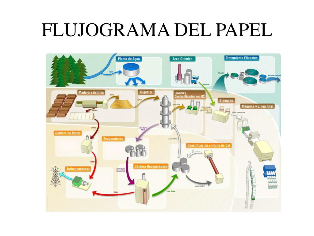PPT - PROCESO PRODUCTIVO DEL PAPEL PowerPoint Presentation, free ...