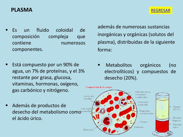 PPT - LIQUIDO EXTRACELULAR PowerPoint Presentation - ID:2095179