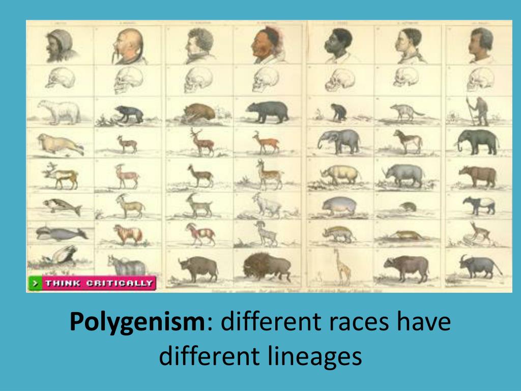 PPT - Unveiling the Historical Stigma: Race, Gender Identity, and ...