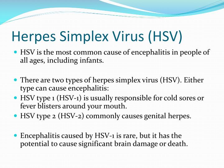 PPT - Encephalitis PowerPoint Presentation - ID:2096282