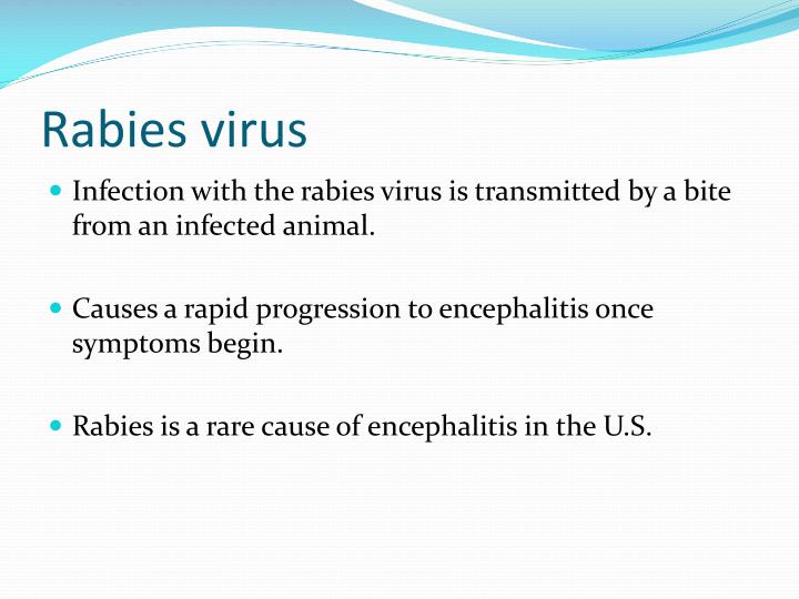 PPT - Encephalitis PowerPoint Presentation - ID:2096282