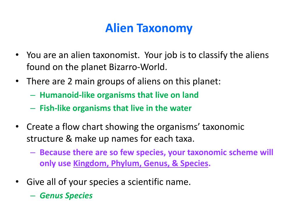 PPT - Scientists discovered the 1 st new river dolphin species in ...