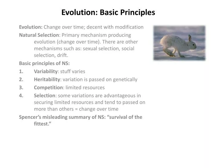 PPT - Evolution: Basic Principles PowerPoint Presentation, free ...