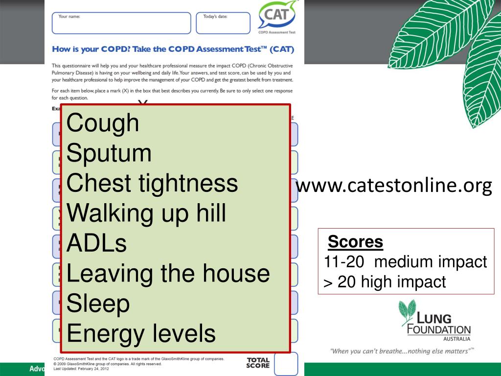 PPT - The COPD-X Plan: Australia and New Zealand guidelines for the ...