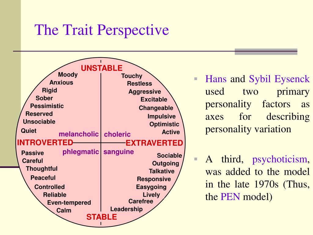 Ppt What Is Personality Powerpoint Presentation Free Download Id