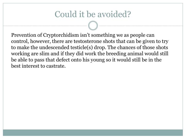 PPT - Cryptorchidism PowerPoint Presentation - ID:2097296