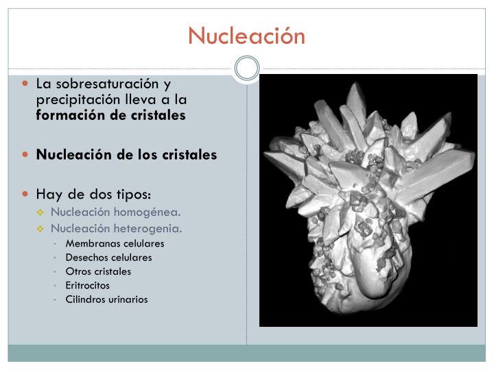 PPT - Litiasis urinaria PowerPoint Presentation - ID:2097610