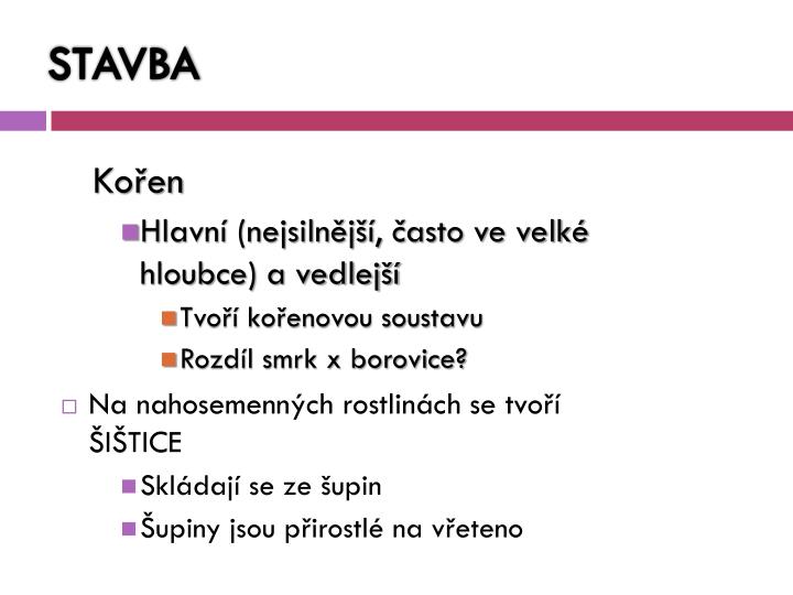 PPT - Nahosemenné rostliny PowerPoint Presentation - ID:2097763