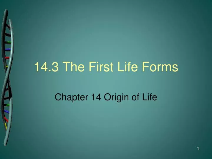 PPT - 14.3 The First Life Forms PowerPoint Presentation, free download ...