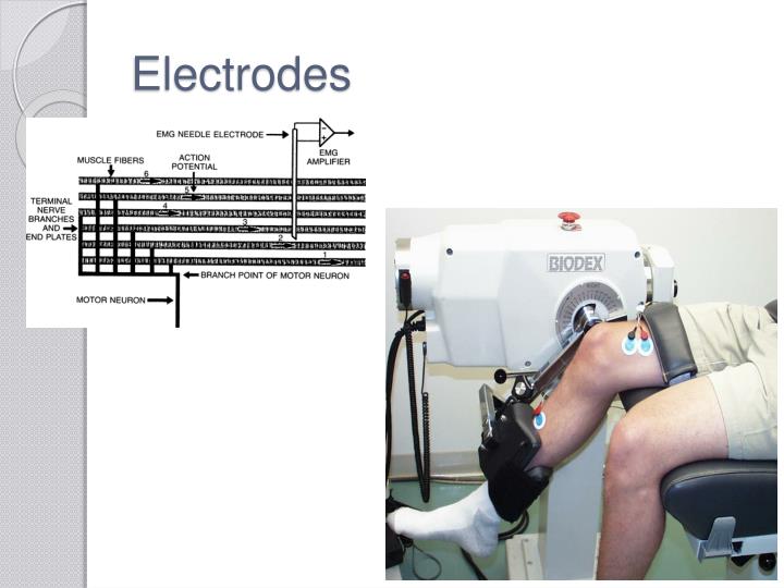 PPT - Electromyography (EMG) PowerPoint Presentation - ID:2098137