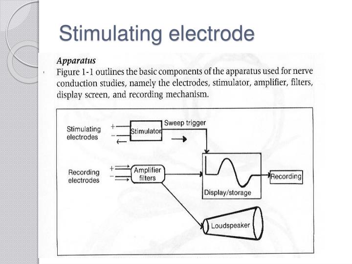 PPT - Electromyography (EMG) PowerPoint Presentation - ID:2098137