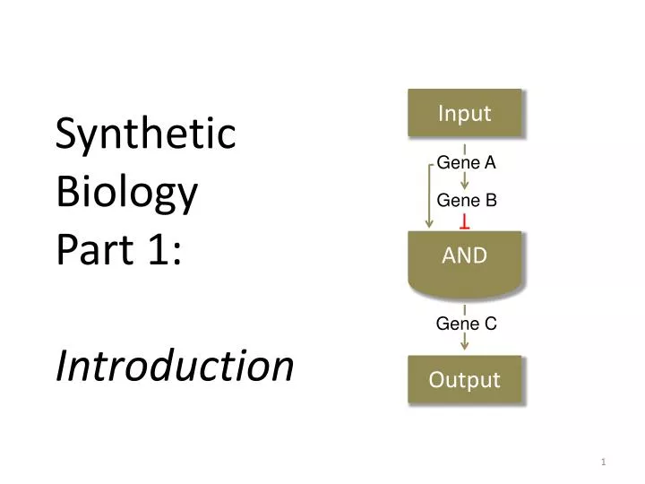 PPT - Synthetic Biology Part 1: Introduction PowerPoint Presentation, free download - ID:2099255
