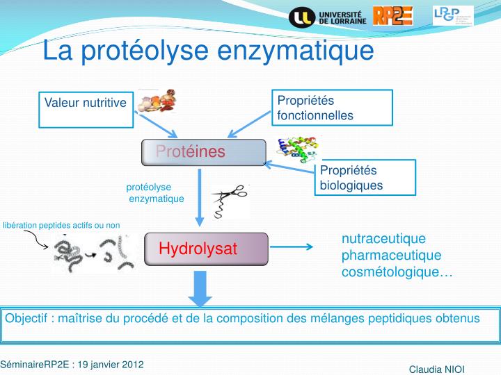PPT - Travaux encadrés par : Romain KAPEL Ivan MARC PowerPoint ...