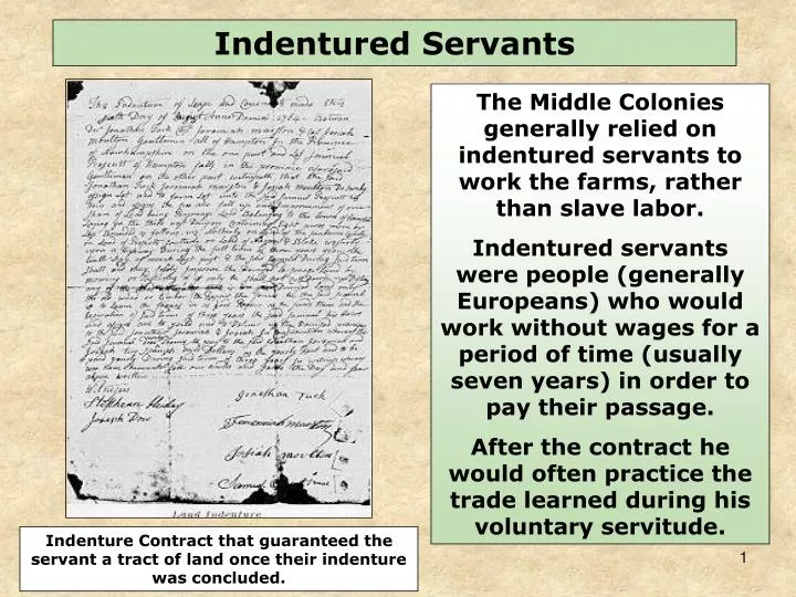 PPT - Indenture Contract that guaranteed the servant a tract of land ...