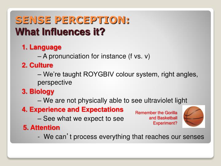 PPT - SENSE PERCEPTION PowerPoint Presentation - ID:2100665