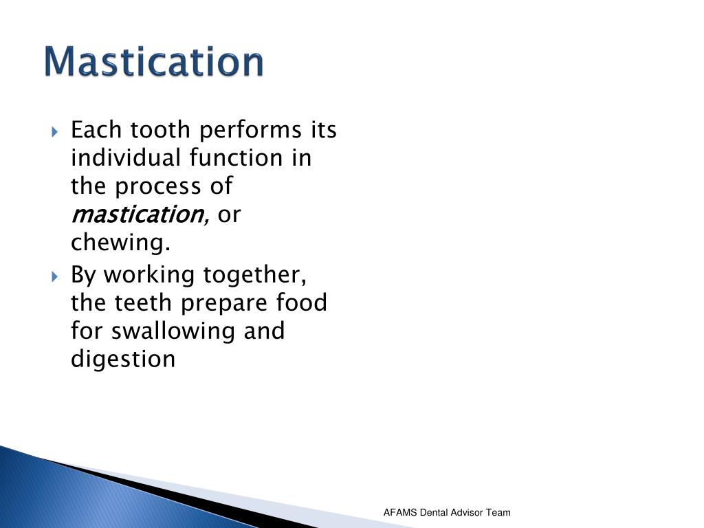 PPT - Dental Nomenclature PowerPoint Presentation, free download - ID ...