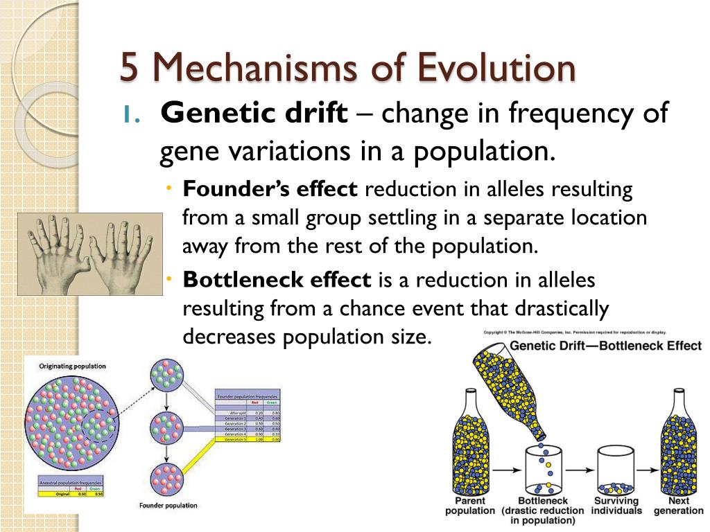 Ppt Evolution Powerpoint Presentation Free Download Id 2100970