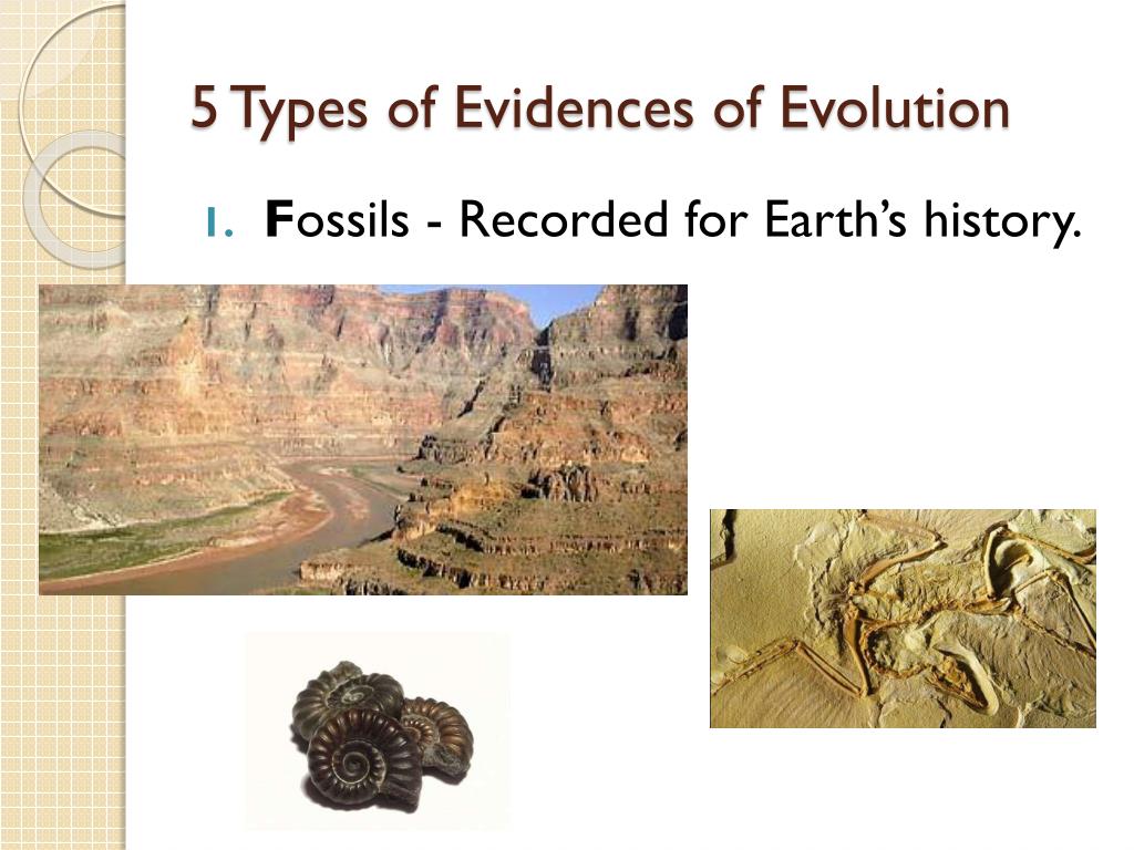 Ppt Evolution Powerpoint Presentation Free Download Id 2100970