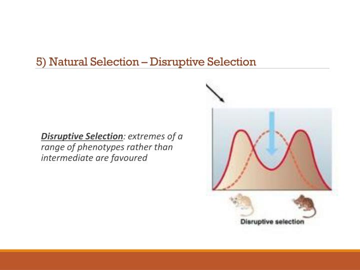PPT - Section 9.1: Mechanisms of Evolution and Effect on Populations ...
