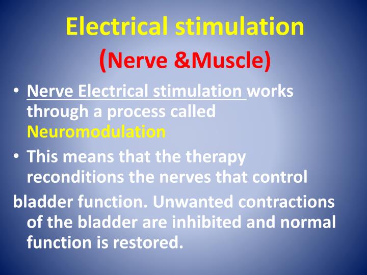 PPT - Physiotherapy Management Of Female Urinary Incontinence ...
