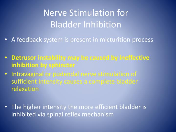 PPT - Physiotherapy Management Of Female Urinary Incontinence ...