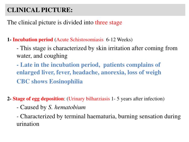 PPT - Urinary tract infection ( UTI ) PowerPoint Presentation - ID:2101291
