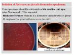 PPT - Urinary tract infection ( UTI ) PowerPoint Presentation - ID:2101291