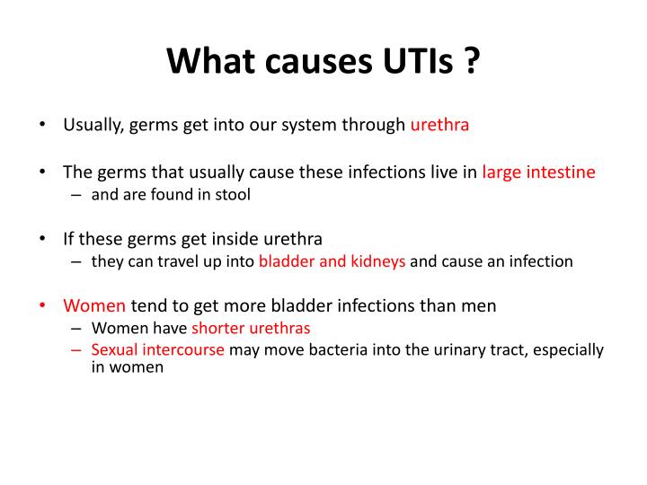 PPT - Urinary tract infection ( UTI ) PowerPoint Presentation - ID:2101291