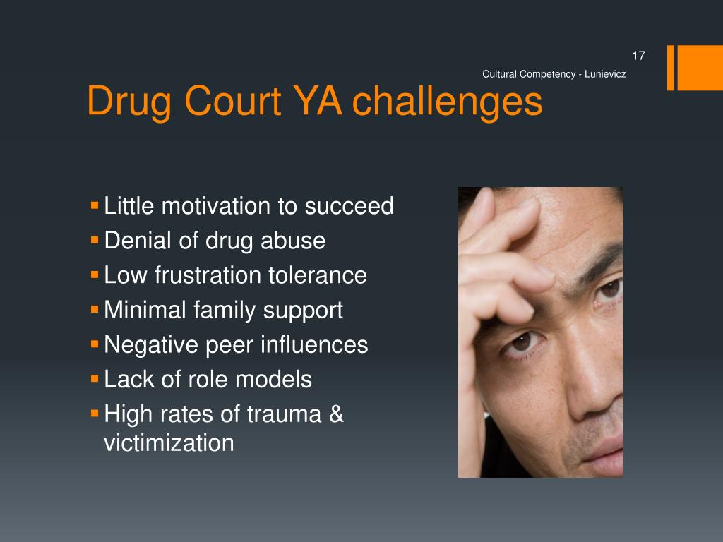 PPT - Cultural Competency in Your Drug Court PowerPoint Presentation ...
