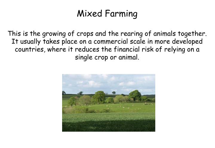 PPT - Arable Farming PowerPoint Presentation - ID:2101960