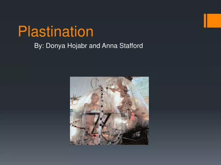 PPT - Plastination PowerPoint Presentation, free download - ID:2102018