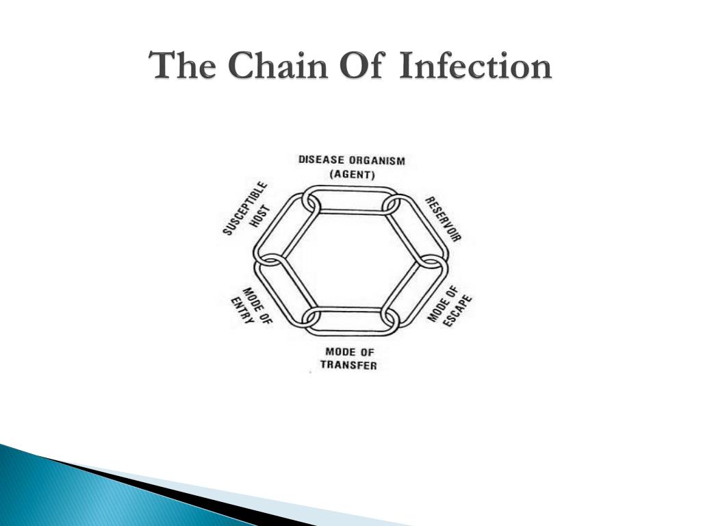 Ppt Communicable Diseases Powerpoint Presentation Free Download Id