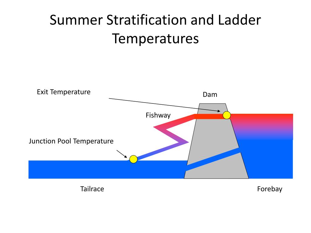 PPT - Radio Telemetry Studies of Adult Salmonids and Pacific Lamprey in ...