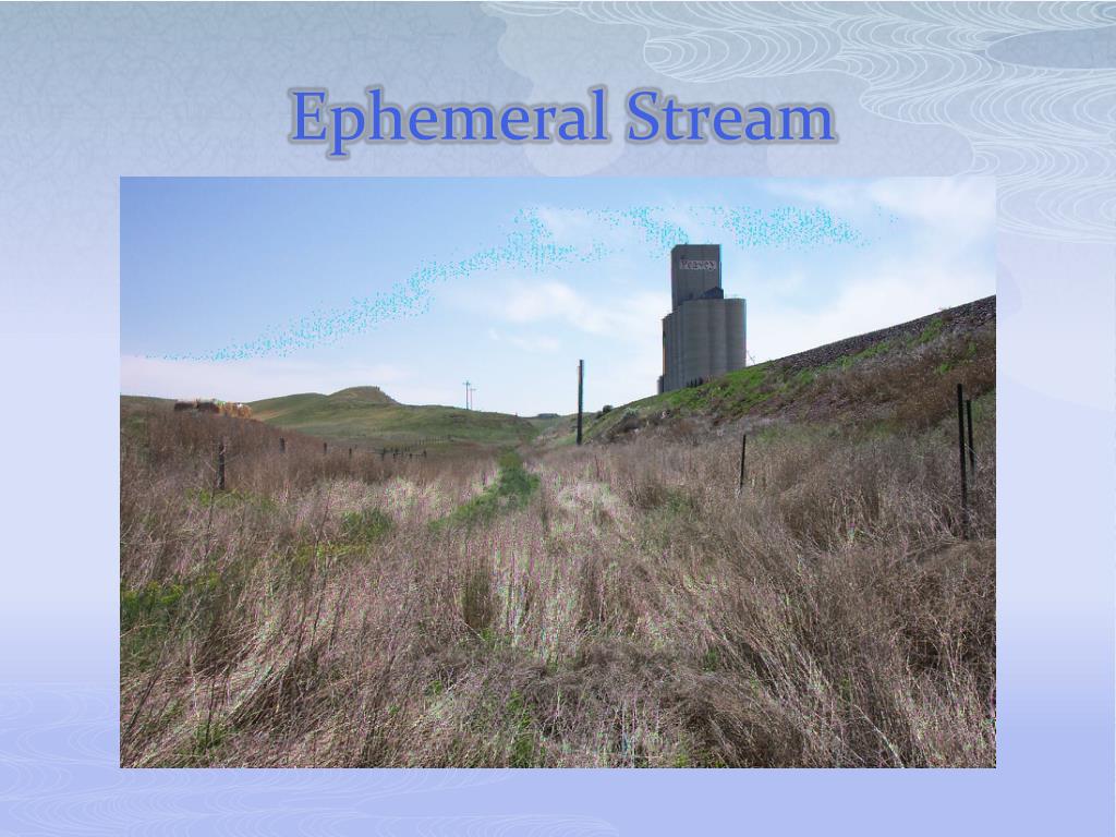 PPT - Domestic Sewage Treatment Lagoons General Permit 2013 – GP ...