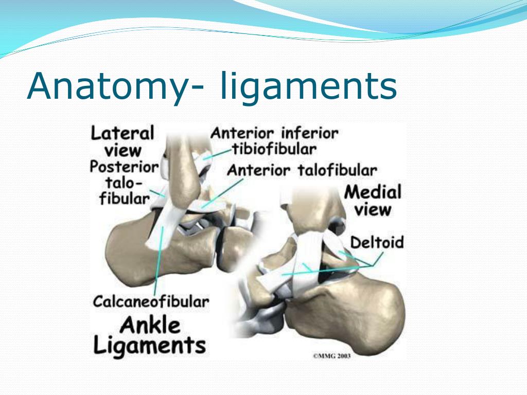 PPT - Derbyshire Sports Injuries Clinic presents PowerPoint ...