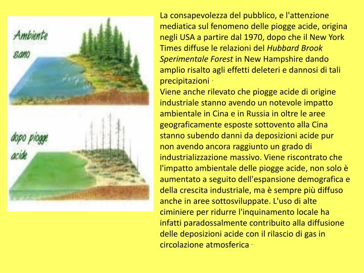 PPT - PIOGGE ACIDE PowerPoint Presentation - ID:2104263