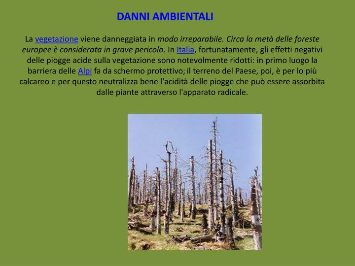 PPT - PIOGGE ACIDE PowerPoint Presentation - ID:2104263