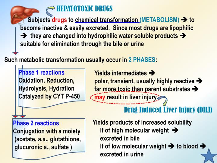 PPT - HEPATOTOXIC DRUGS PowerPoint Presentation - ID:2104578