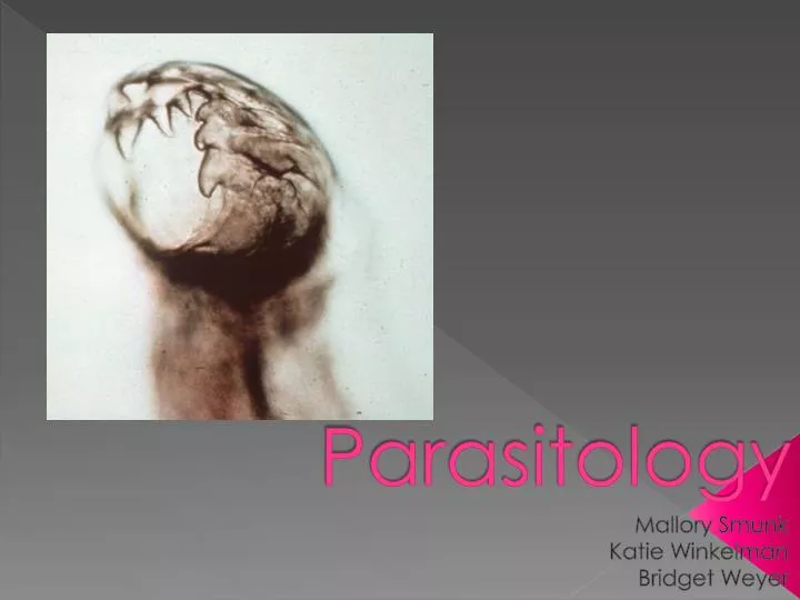 PPT - Parasitology PowerPoint Presentation, free download - ID:2104913