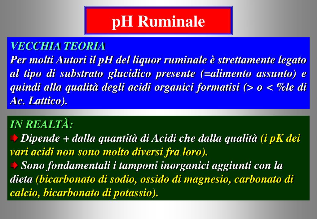 PPT - Tratto gastrico dei ruminanti PowerPoint Presentation, free ...